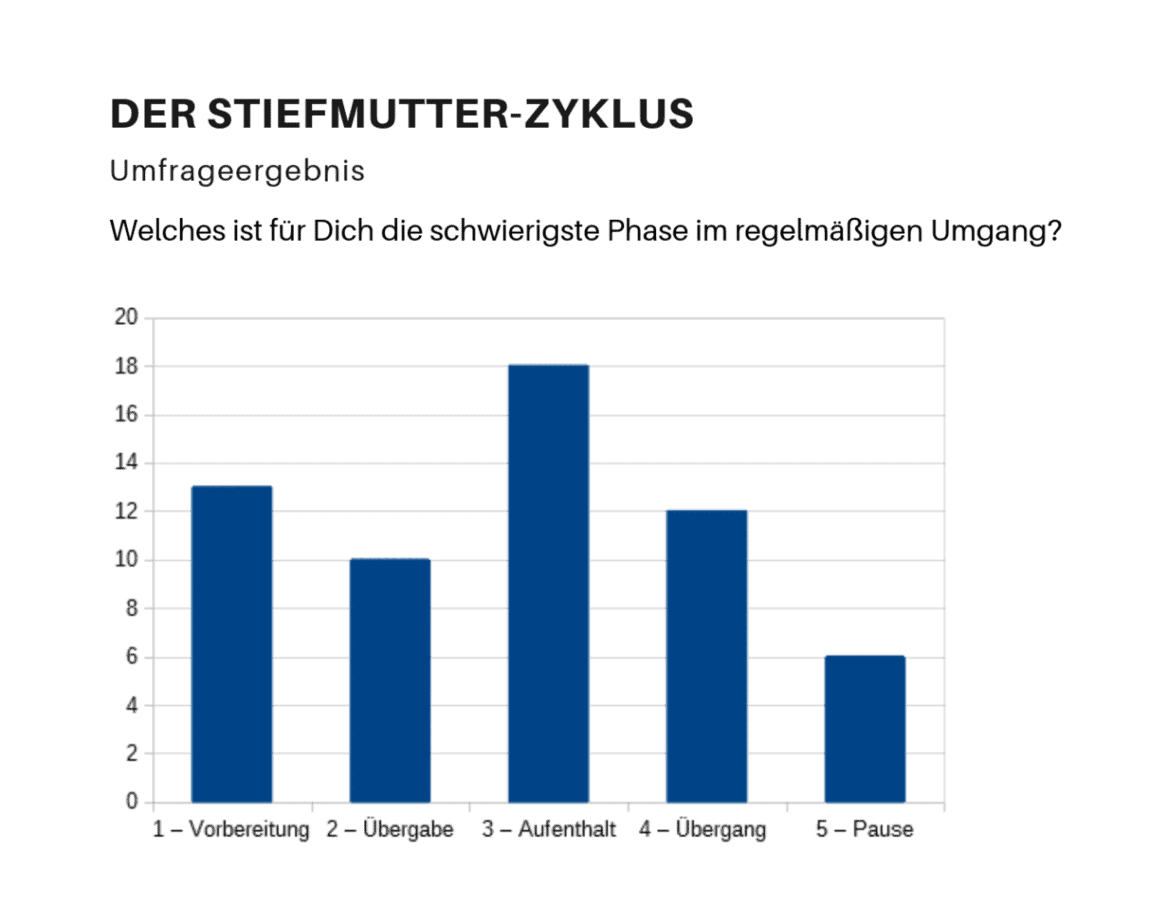Der Stiefmutter-Zyklus - Patchwork auf Augenhöhe